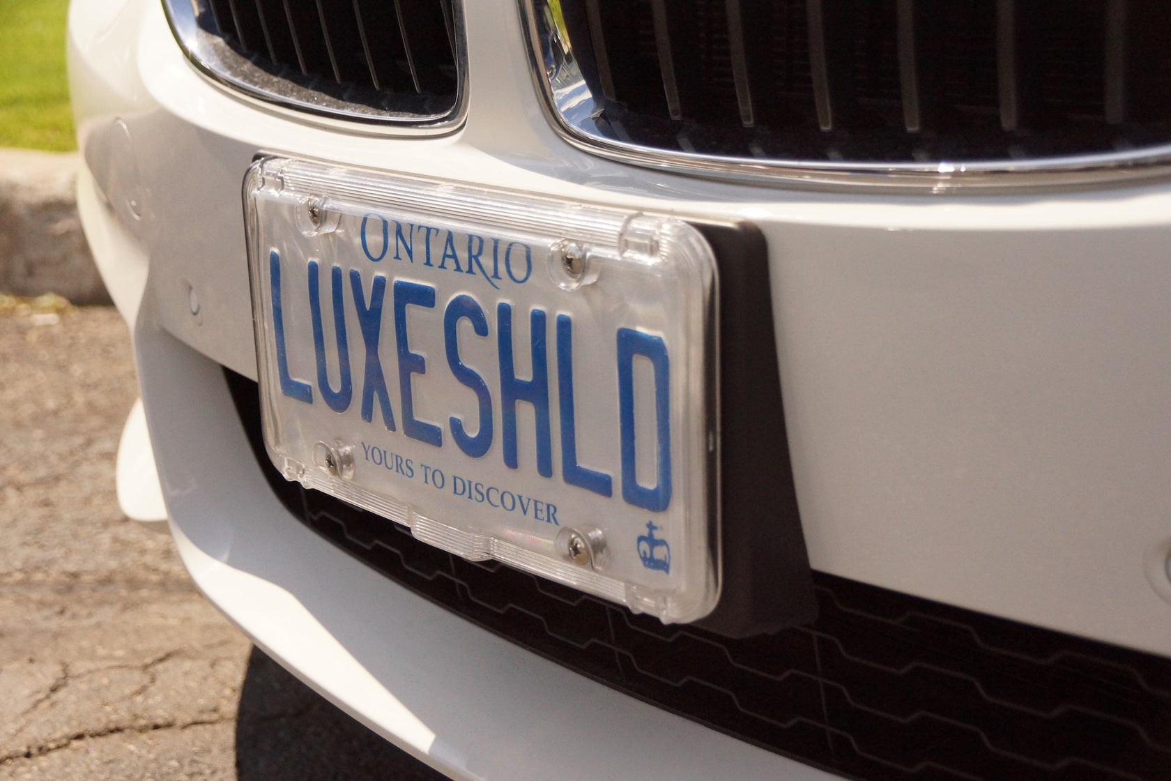 Luxe Shield, Premium Clear License Plate Cover includes Stainless Scre